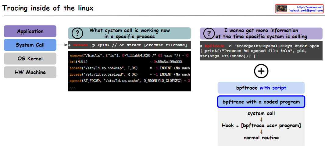 Tracing the linux – Lechuck Park