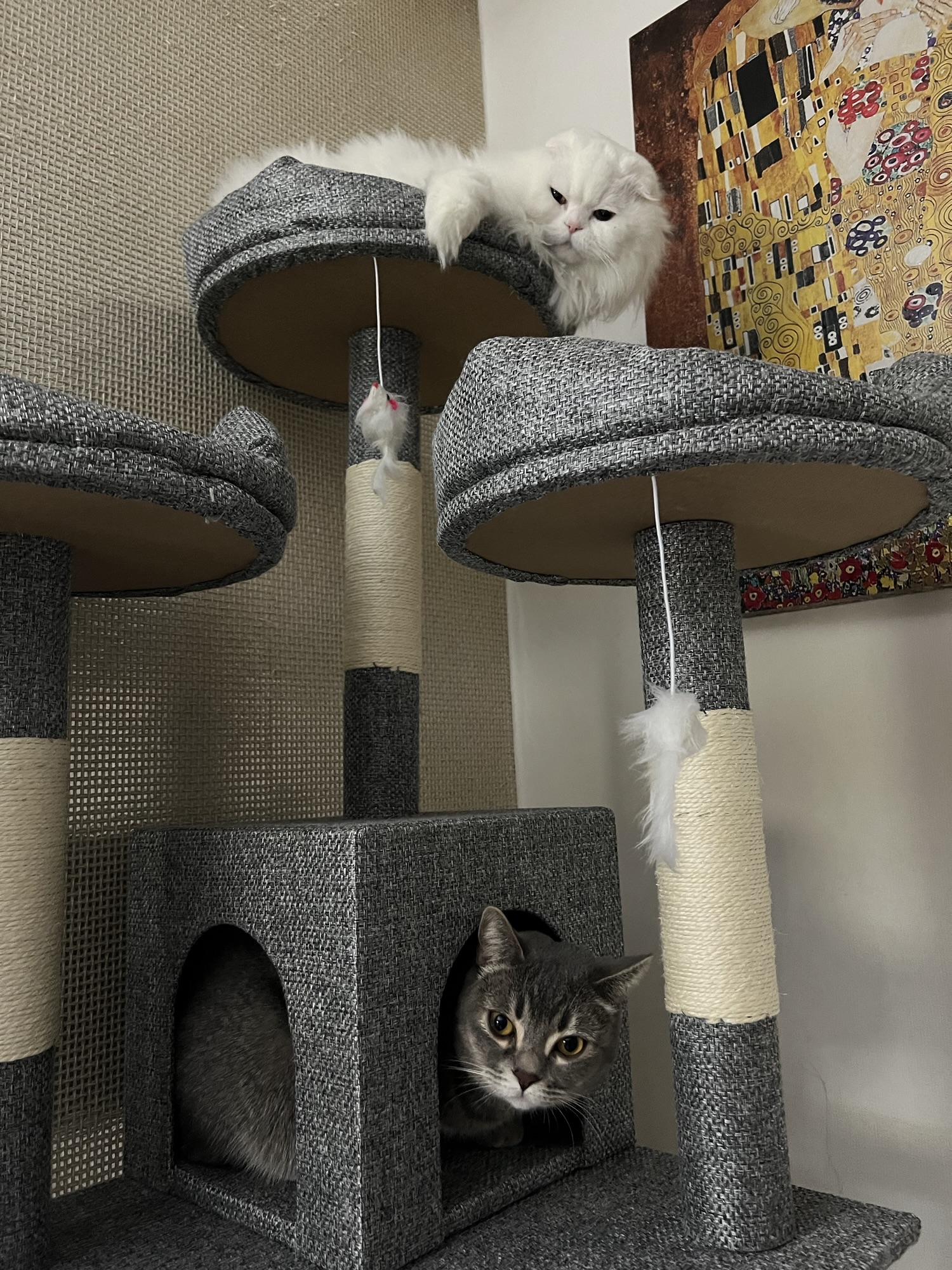 The Rest – Lechuck Park