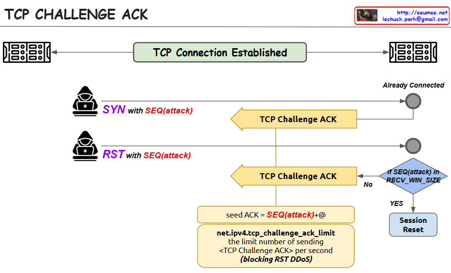 TCP Challenge ACK – Lechuck Park